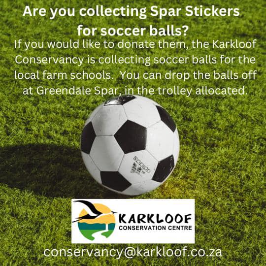 Soccer balls for local farm schools in the Karkloof area ...