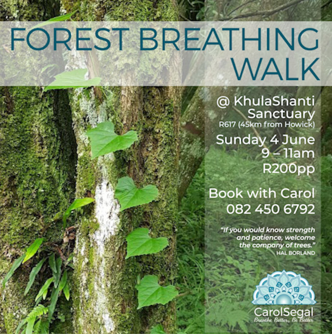 KhulaShanti Sanctuary Forest Breathing Walk bookings are open ...